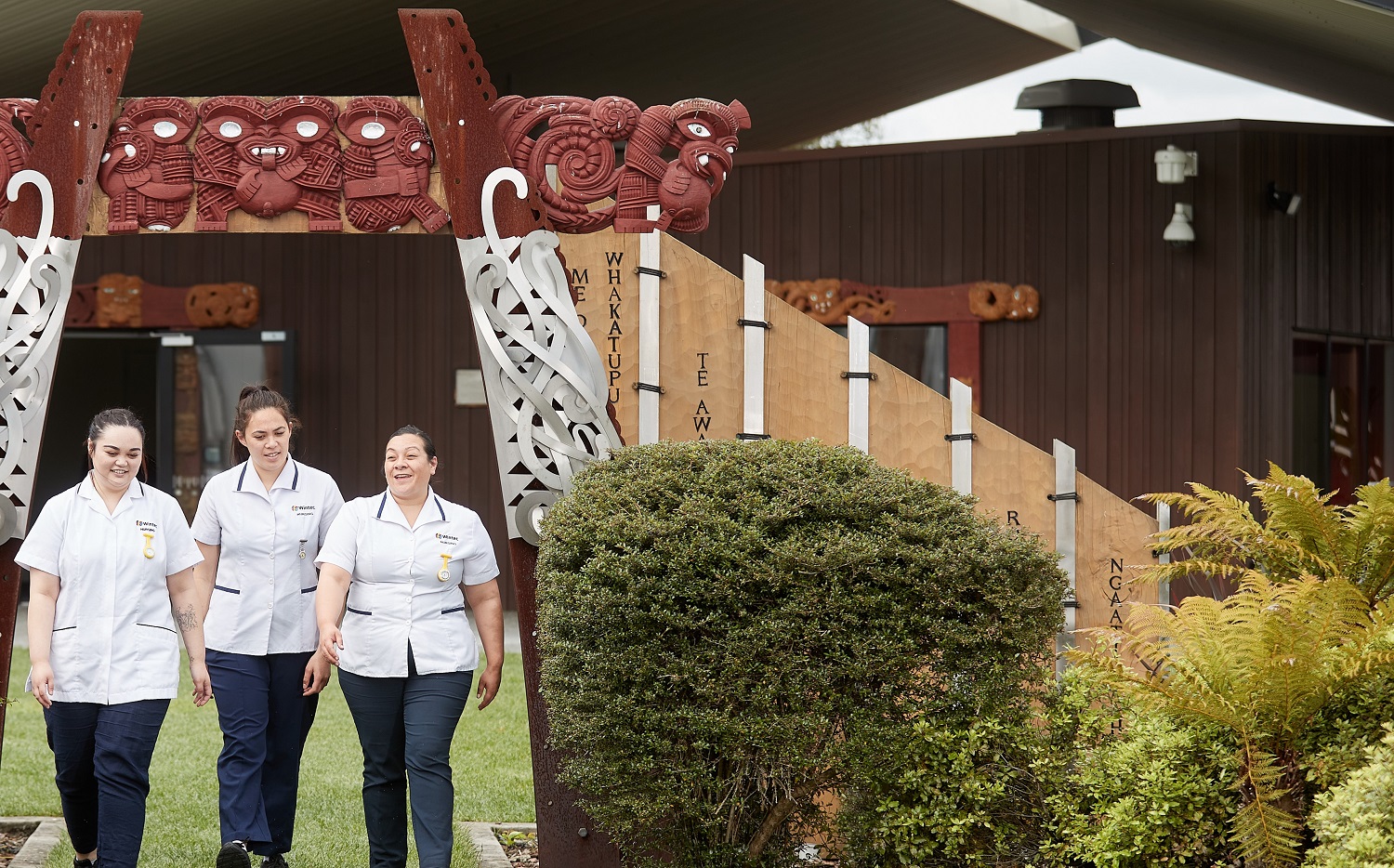 Wintec celebrates 30 years of ground-breaking Māori nursing programme ...